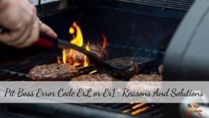 Pit Boss Error Code ErL or Er1: Should You Throw Away Your Pellet Grill ...